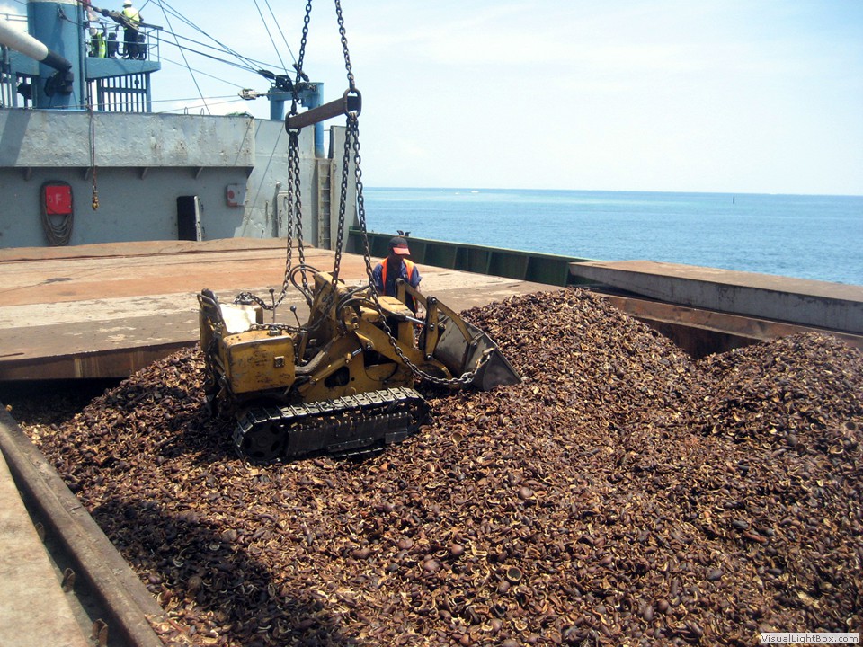 Marine Professionals London: Photo Library: Cargo-Loss & Damage